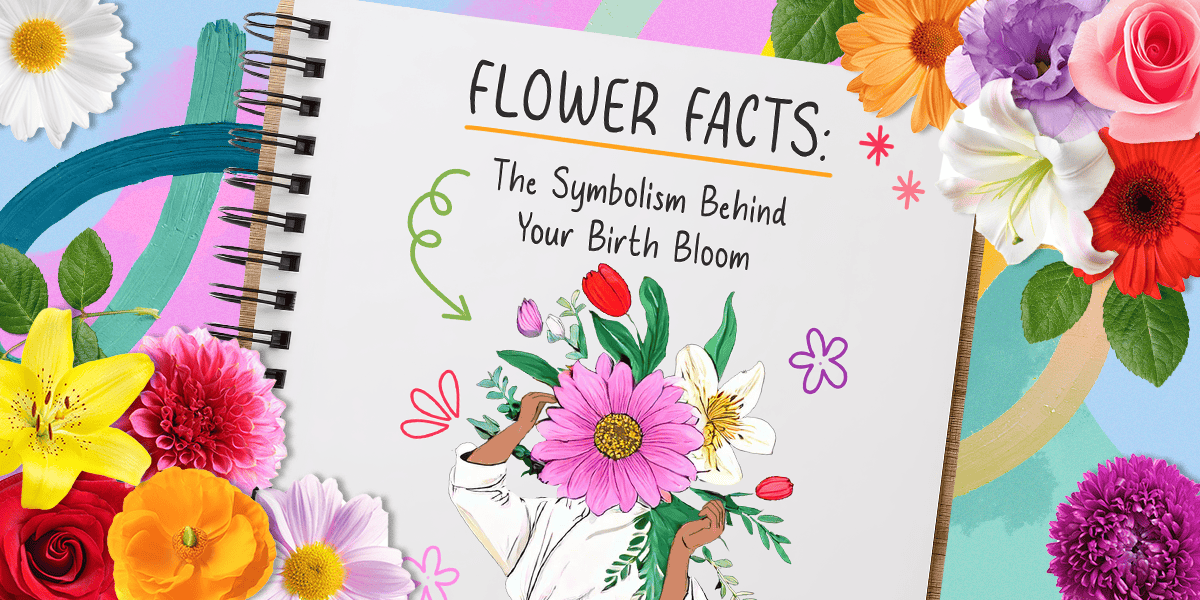 The Story of Birth Flowers: Their Origins, Symbolism, & What They Might ...